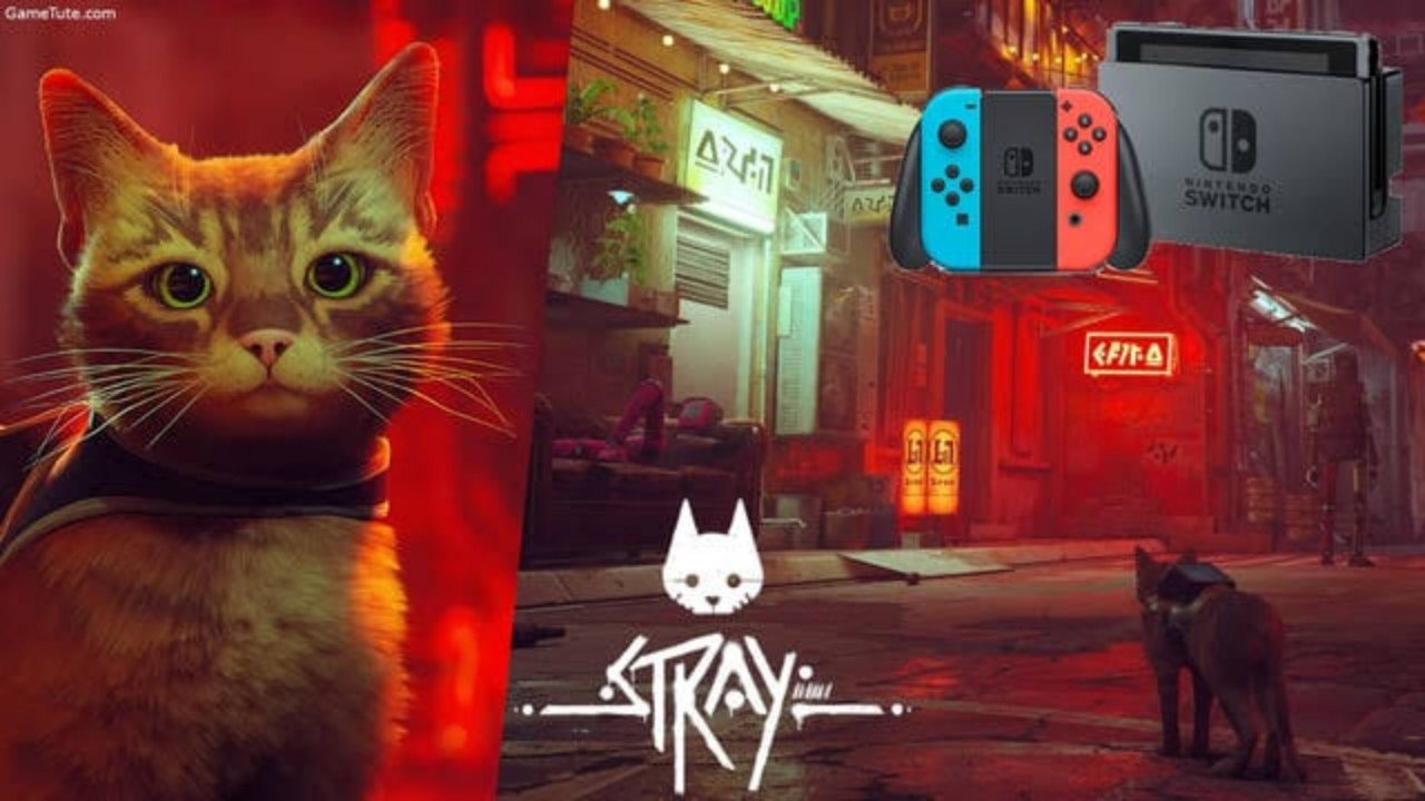 STRAY chegando no Switch em 19 de novembro - Games Ever | Notícias ...